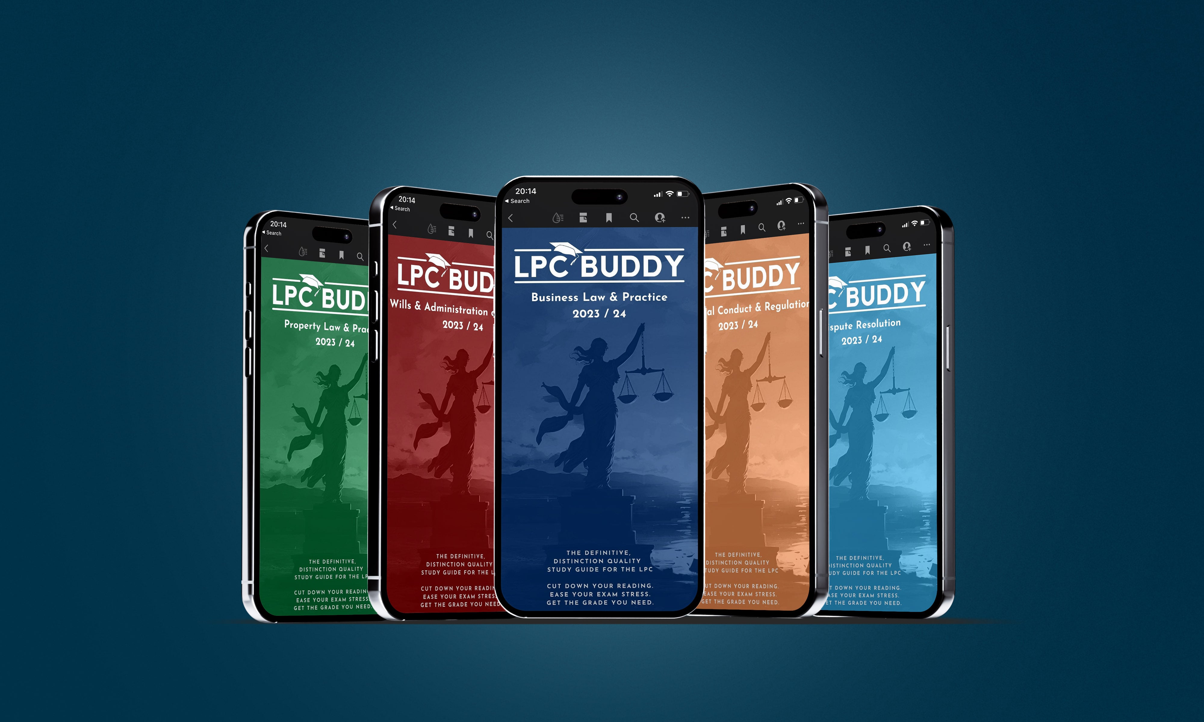 LPC Buddy™ | Distinction Level Notes and Guides for the LPC